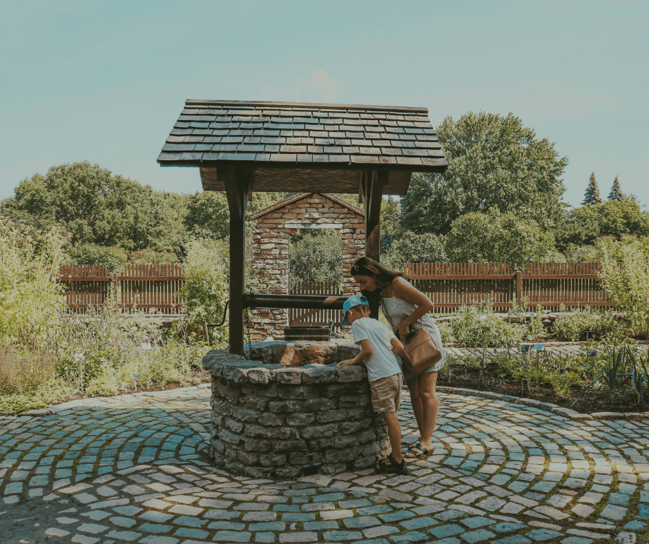 Off-Grid Water Collection and Purification - Homes Off Grid