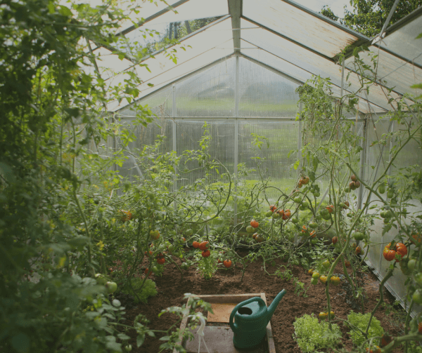 Self-Sufficient Gardening for Off-Grid Living - Homes Off Grid